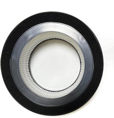 China Conjunto de filtros HEPA de carbono ativado H13 compatível com o germ guardian FLT4200 à venda