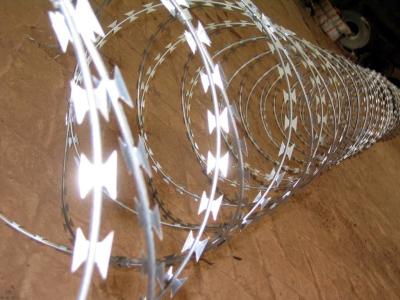 Cina Filo spinato galvanizzato immerso caldo del rasoio BTO-22 per il recinto 450mm della rete metallica 500mm con la clip in vendita