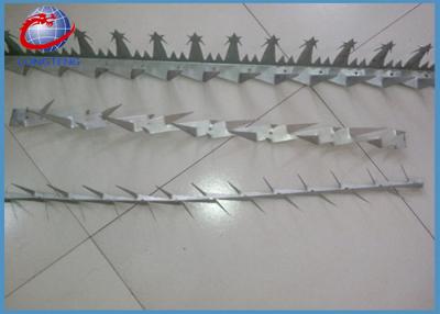 China 2mm Hot Dipped Galvanized Concertina Razor Wire Anti Climb Wall Spikes For Fence for sale