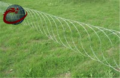Cina Colore di bianco del nichel della barriera di sicurezza del filo spinato galvanizzato sicurezza della lametta in vendita
