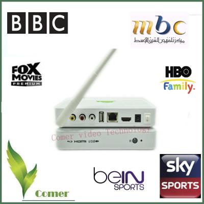 中国 プロ HI-3716M CPU MBC との人間の特徴をもつ媒体アラビア IPTV の箱白い MPEG2 販売のため