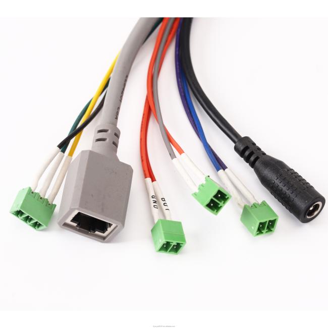 Wire harness assembly close-up view