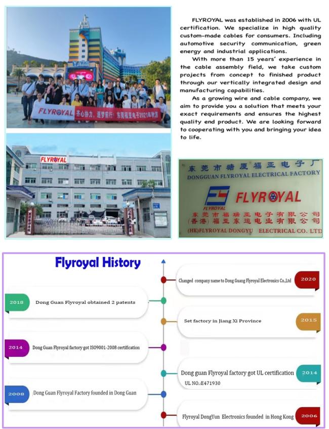 Flyroyal company overview and capabilities