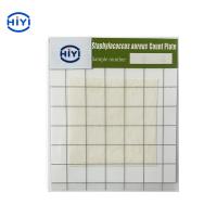 China Staphylococcus Aureus Count Plate 24 Pieces Food Contamination Testing 15hr Results for sale