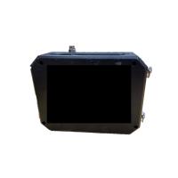 China PTM600-EG Portable Methane and Ethane Analyzer TDLAS Laser 0-100000ppm for sale