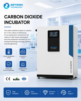 China Carbon Dioxide Incubator for Microbiology and Cell Growth Studies RPC-195T for sale