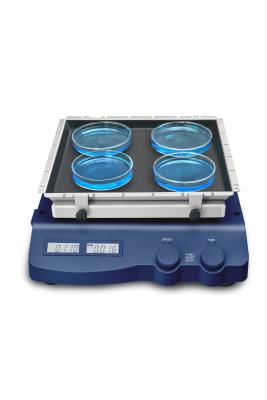 China Sk-L180-PRO Laboratory Rocking Decolorizing Mixer Anti-Slip Platform DC Motor Shaker for sale