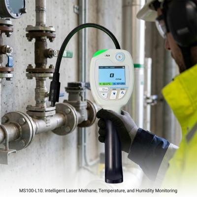 China MS100-L10 Portable Methane Leak Sniffer with Pump Suction and Flexible Probe for sale