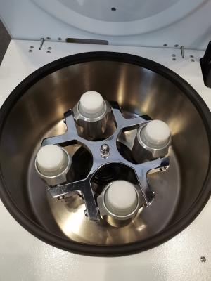 China TG18.5 18500r/Min Tabletop High Speed ​​Centrifuge For Universities Laboratory for sale