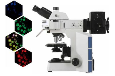 China Clinical Diagnosis Binocular 100X Laboratory Biological Microscope for sale