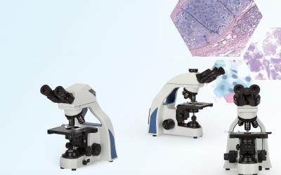 China Compound Eye Lighting System Biology Lab Microscope High Intensity for sale