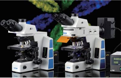 China High Definition Inverted Biological Microscope Medical Field Large Numerical Aperture for sale