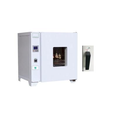 China LDO Forced Air Lab Drying Oven Constant Temperature With 2 Shelf for sale