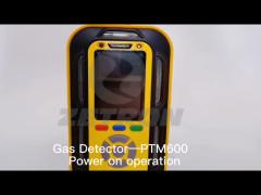 Ptm600-BIO Detettore portatile di gas discarica CO2 CH4 O2 H2s Co H2 analizzatore di biogas