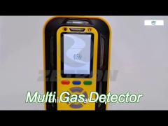 Ptm600-BIO Portable Gas Detector Landfill CO2 CH4 O2 H2s Co H2 Biogas Analyzer