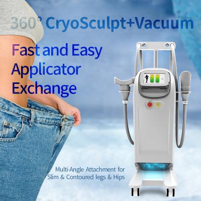 Cina 690nm ha condotto la macchina di congelamento grassa di Cryolipolysis Ac110v in vendita