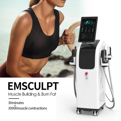 Cina 13 Tesla Energy Ems Sculpting Machine per la costruzione muscolare e la combustione dei grassi in vendita