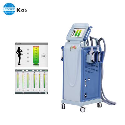 Cina Macchina di Cryo Lipolysis per la perdita di peso con doppia piastra di raffreddamento in vendita