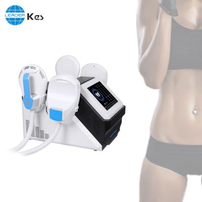 Cina Macchina di ems sculpting di certificazione del Ce della garanzia Ac220v da 1 anno in vendita