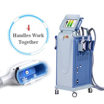 Cina Anti attrezzatura di Cryolipolysis delle celluliti della FDA per il congelamento grasso in vendita