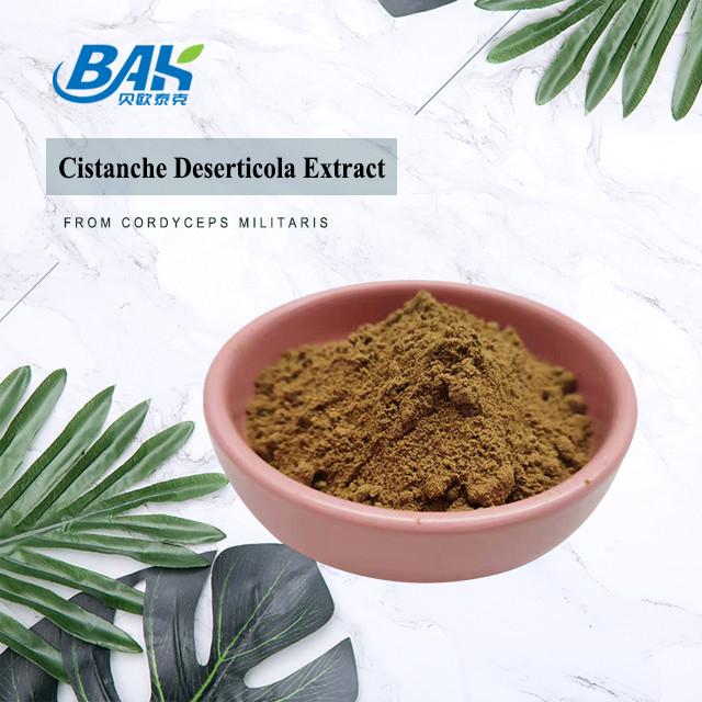Echinacoside 15%Min Acteoside 3.5%Min Cistanche Deserticola Extract Supplement 80% 0
