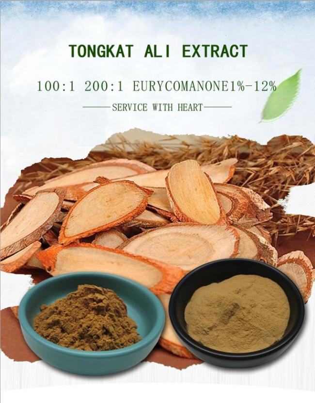 Tongkat Ali Extract 100:1 200:1 Eurycomanone Powder 1% - 2% 0