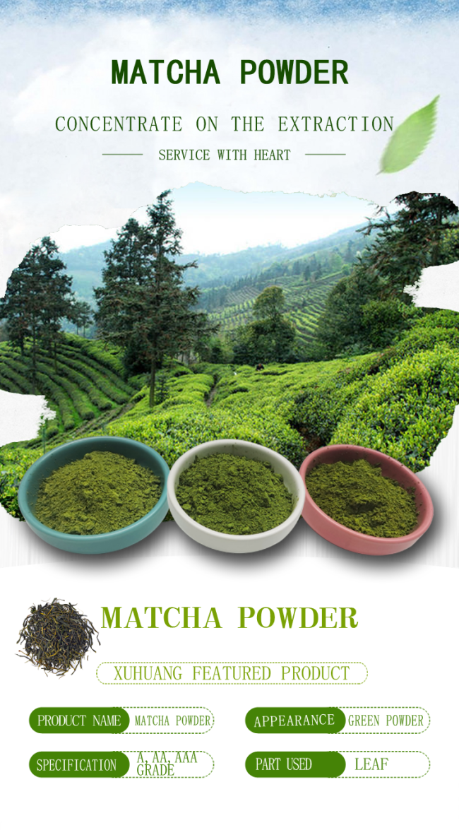Matcha Fruit And Vegetable Powders 1
