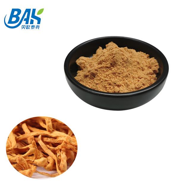 80 Mesh To 120 Mesh Cordyceps Militaris Extract 0