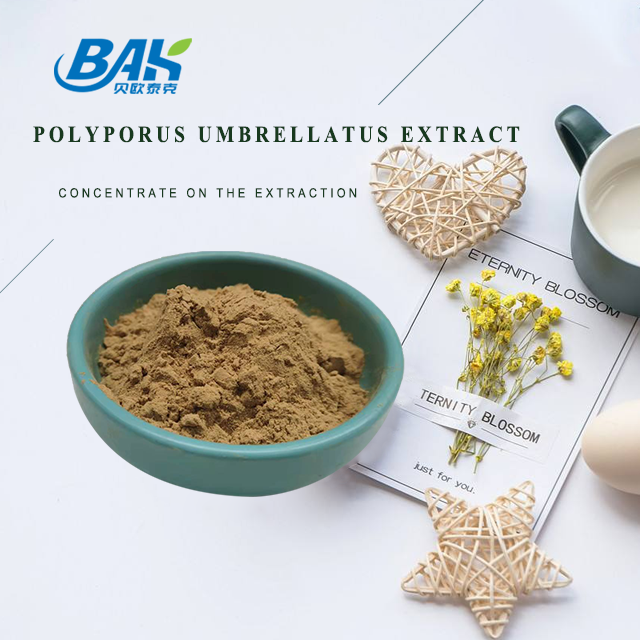 HPLC Mushroom Extract Supplement Polyporus Umbellatus Extract 0