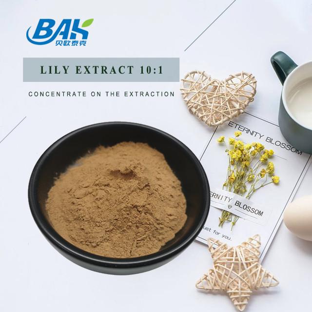 10:1 Mushroom Extract Supplement Lily Root Extract Light Yellow Powder 0