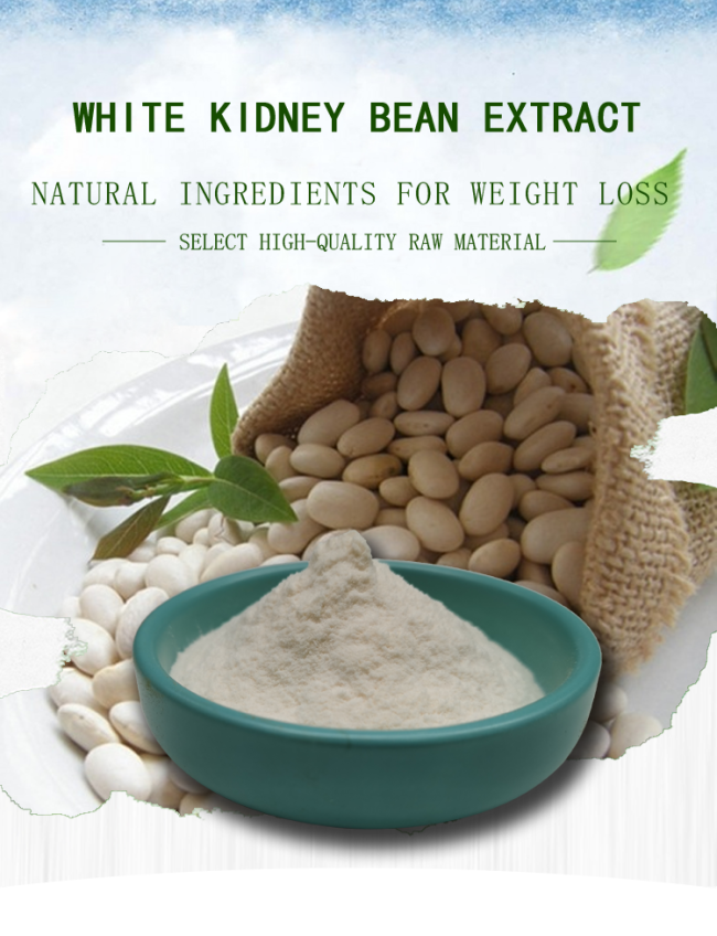 White Kidney Bean Extract Off White Powder 1% 2% 1