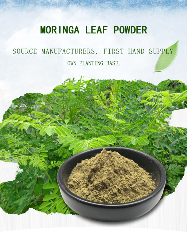 Food Grade Seabuckthorn Berry Fruit Powder 100% Pass 80 Mesh 0