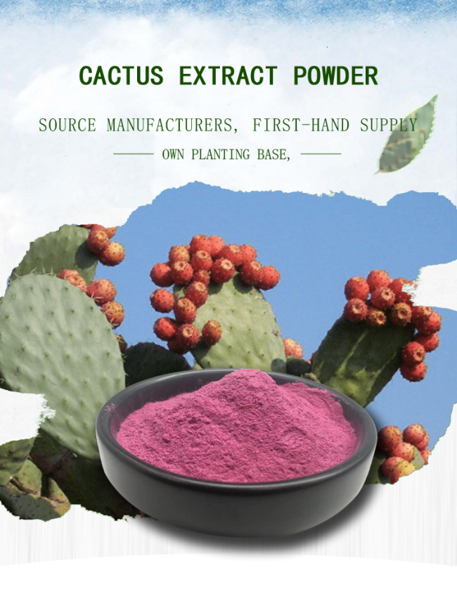 99.15% Cactus Purple Red Fruit And Vegetable Powders Halal ISO 1