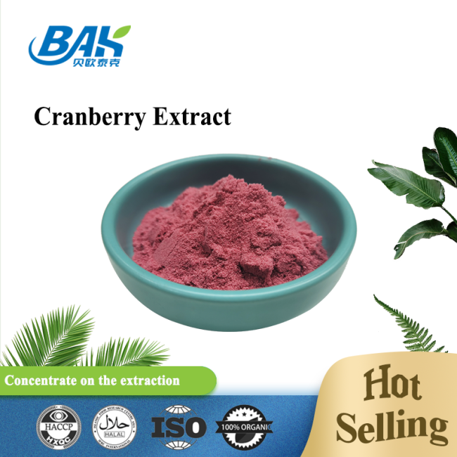 Anthocyanidins 25% Anthocyanin Extract Supplement Cranberry Extract Powder 0