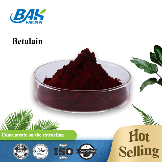 Betalaine Dark Red Powder 7659-95-2 0
