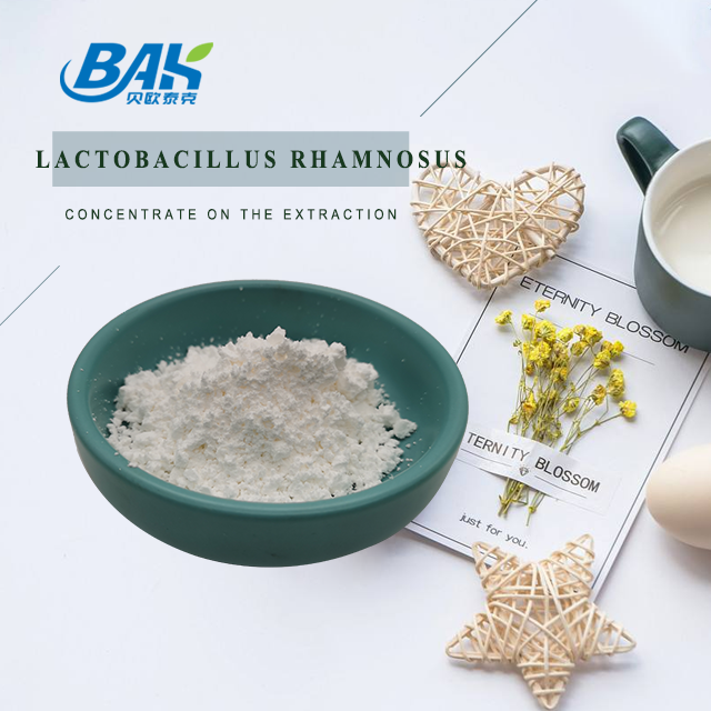 Lactobacillus Rhamnosus Powder Natural Food Additives 1kg/Foil bag 0