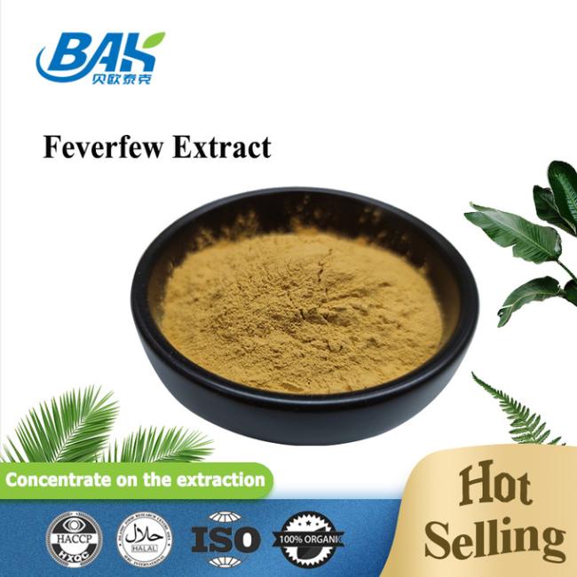 Nutrient Supplement Powder Feverfew Extract Yellow-Brown Powder 0