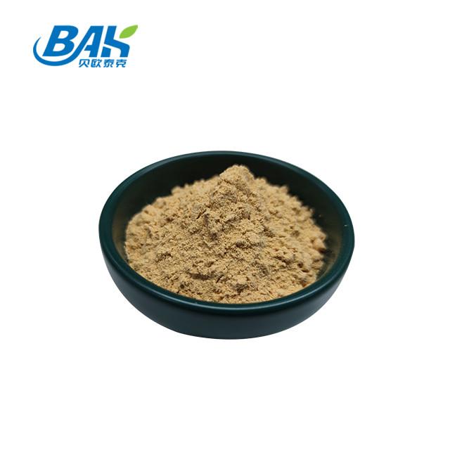 HALAL Chinese Angelica Extract , Dong Quai Root Powder 80 Mesh 1