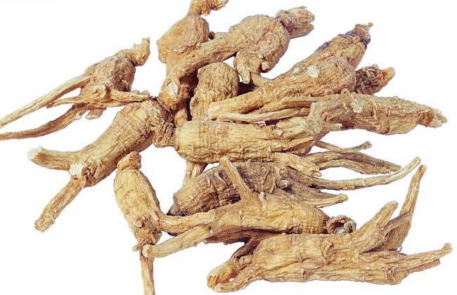 HALAL Chinese Angelica Extract , Dong Quai Root Powder 80 Mesh 0