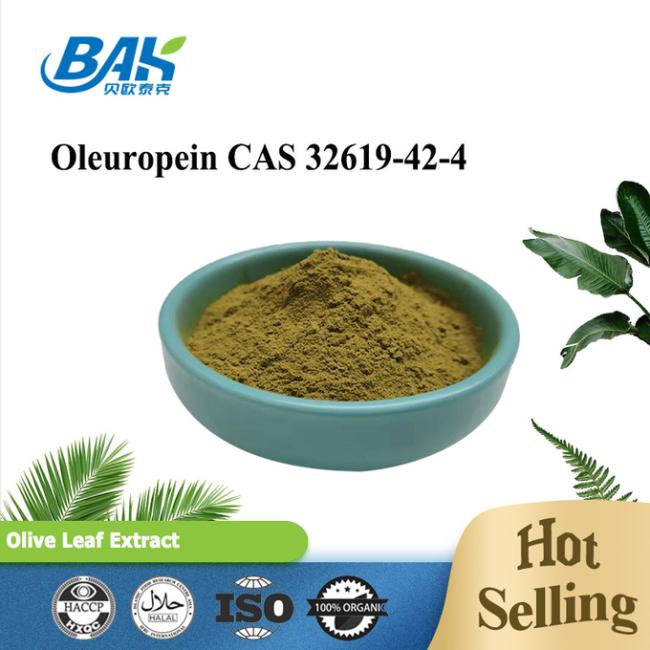 Oleanolic Acid 10%-98% Immune Enhancing Supplements Olive Leaf Extract 0