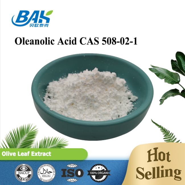 Oleanolic Acid 10%-98% Immune Enhancing Supplements Olive Leaf Extract 3