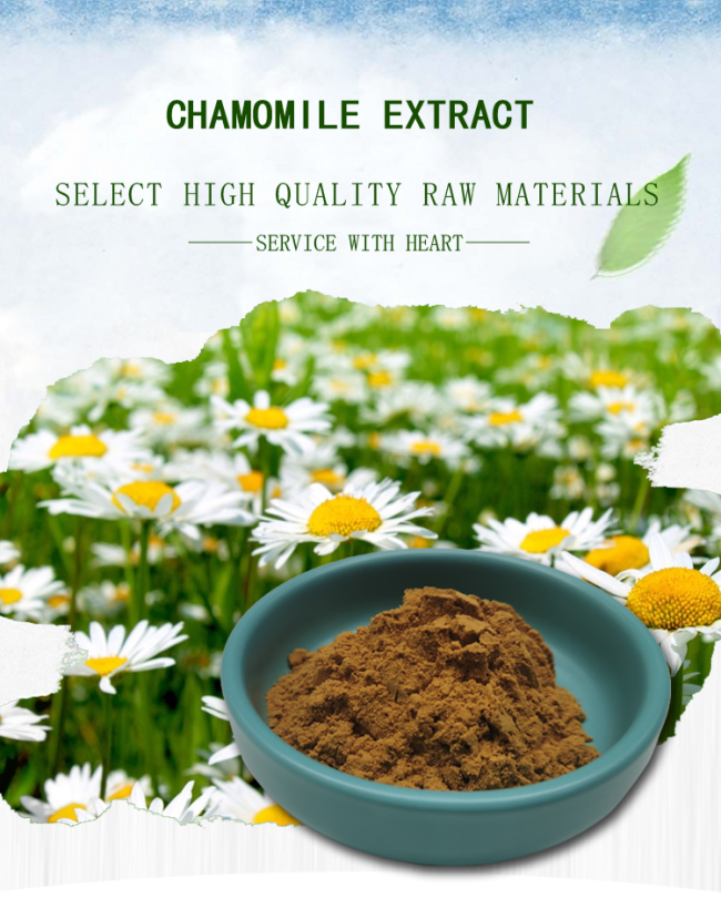 Chamomile Extract Immune Enhancing Supplements 5:1 10:1 20:1 Apigenin 0