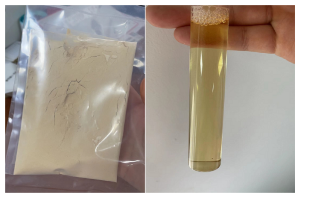 5-50% White Peony Root Extract Supplement Anti - Convulsive 0