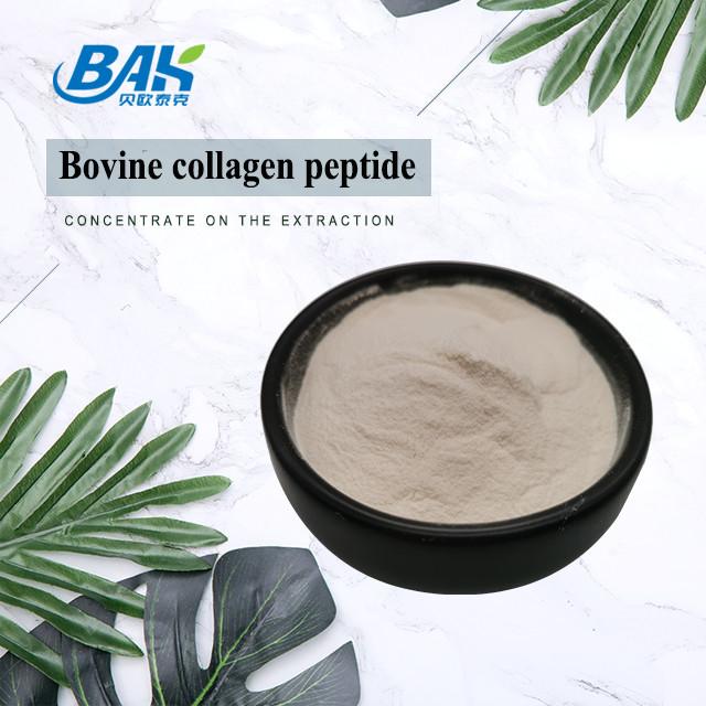 Cowhide Bovine Bone Bovine Collagen Peptide Off White Powder 3000Dal 0