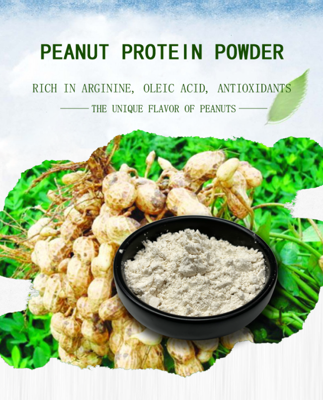 Off White Peanut Peptide Protein Powder 98% Pass 80 Mesh 0