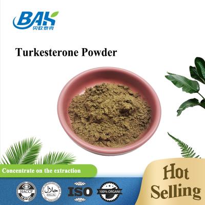 中国 1%-10% Turkesteroneの粉のAjuga Turkestanicaは補う 販売のため