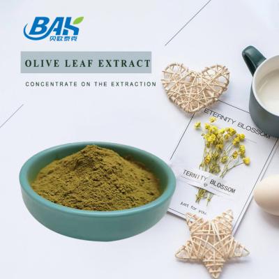 Cina Supplementi di miglioramento immuni Olive Leaf Extract dell'oleuropeina 10%-80% in vendita