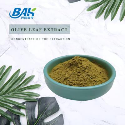 Cina Supplementi di miglioramento immuni Olive Leaf Extract dell'oleuropeina 10%-80% in vendita