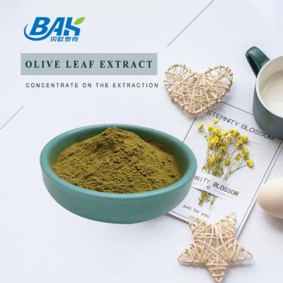 Cina Supplementi di miglioramento immuni Ole Olive Leaf Extract degli anti batteri in vendita