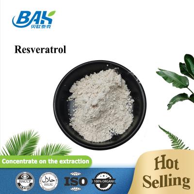 China Polygonum Cuspidatum-extract Resveratrolpoeder voor immuunverbetering Te koop